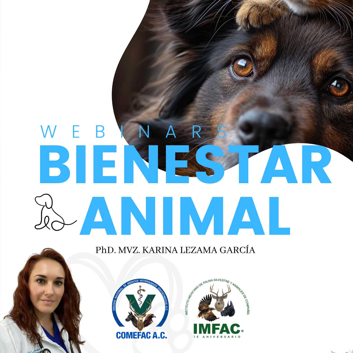 IMFAC: Todos los cursos